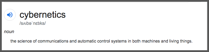 An Introduction to Digital Cybernetics for Business